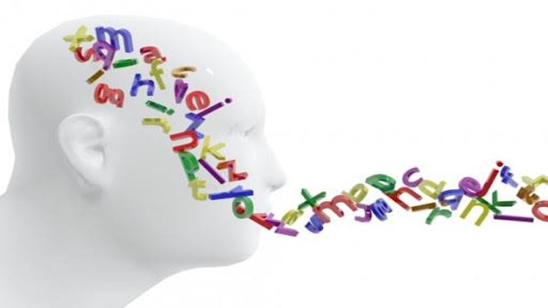 Vida Efectiva » ¡COMIENZA A FORJAR TU PROPIO CAMINO HOY MISMO!